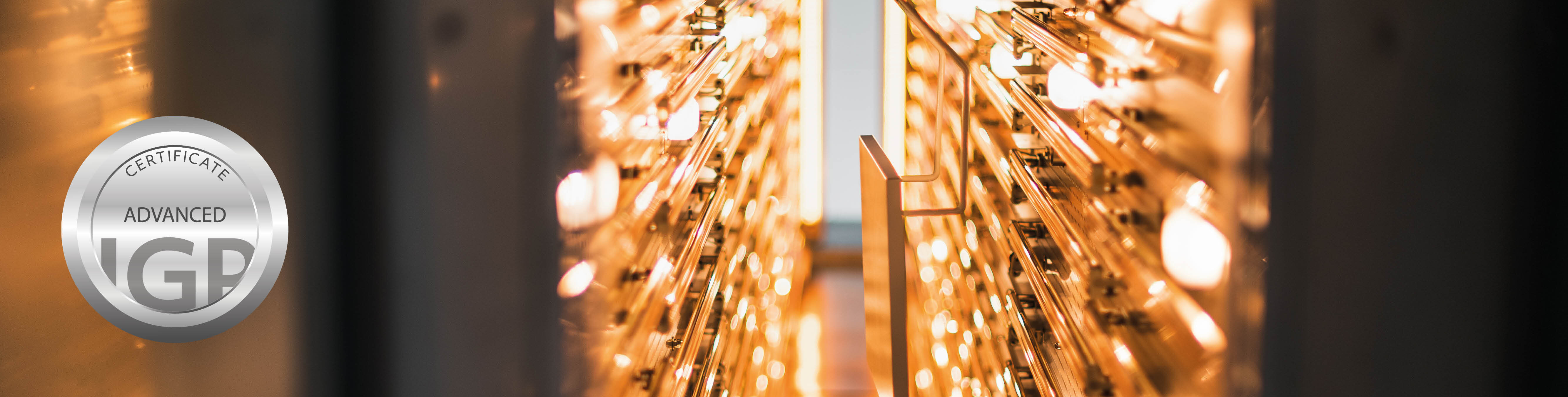 IGP Powder Coating | Advanced Training Program