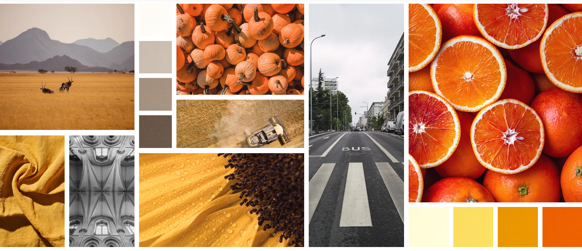 High-Quality IGP Powder Coating Systems | Durable Solutions