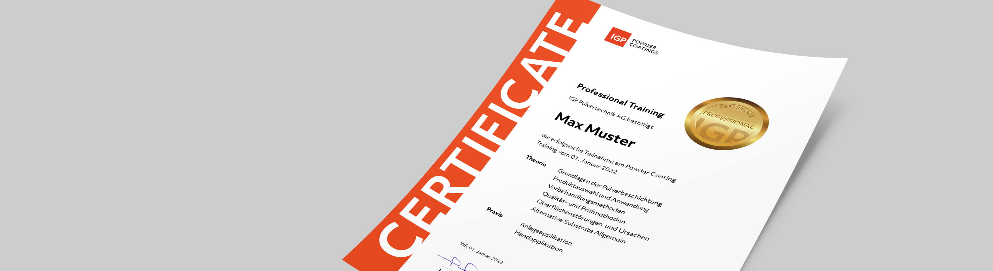 IGP Powder Coating Professional Training | Courses & Seminars